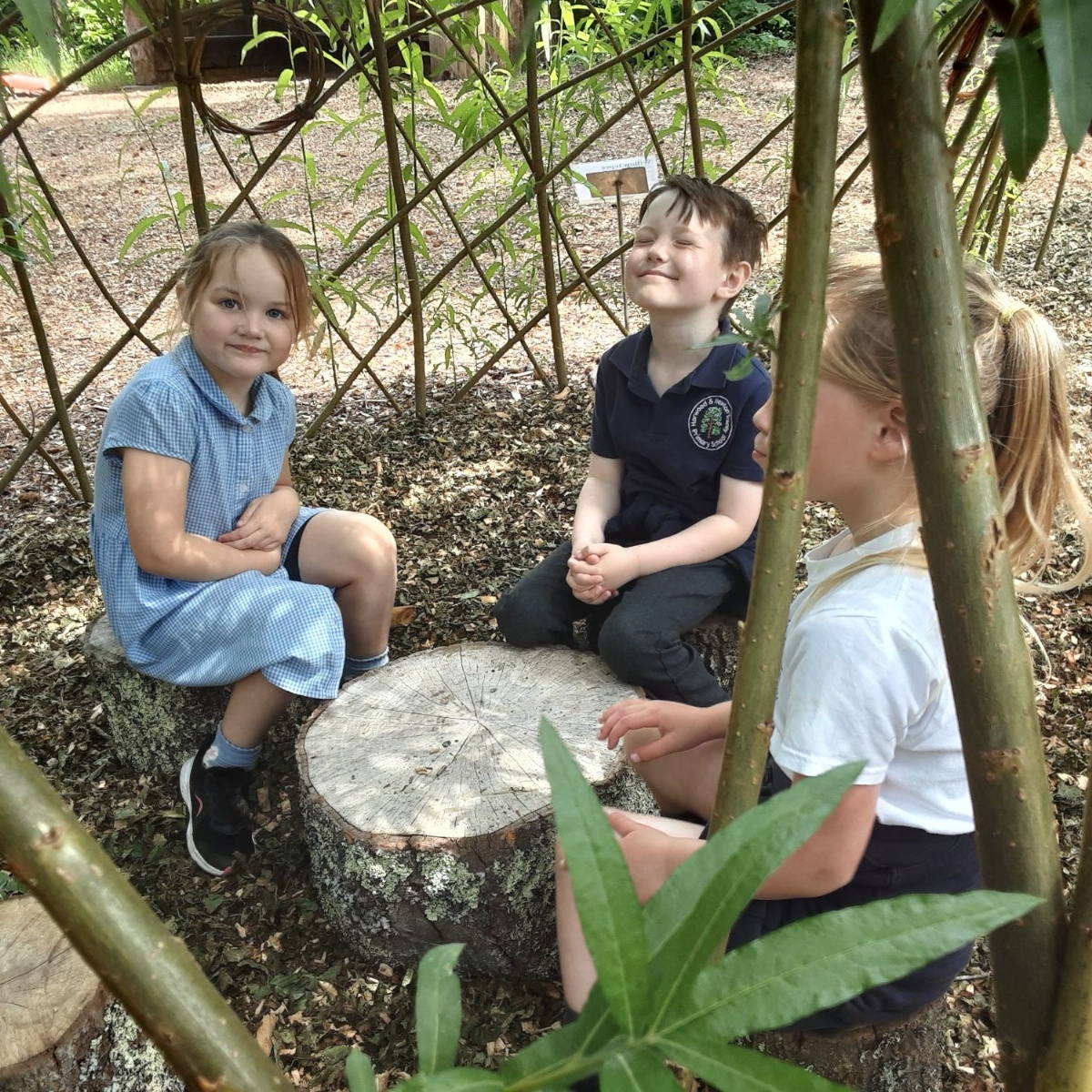 Horwood and Newton Tracey Primary School - Nursery and Class 1 Trip to ...